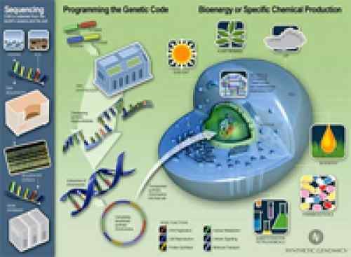 Rael: 'Craig Venter has achieved the first step toward creation of ...